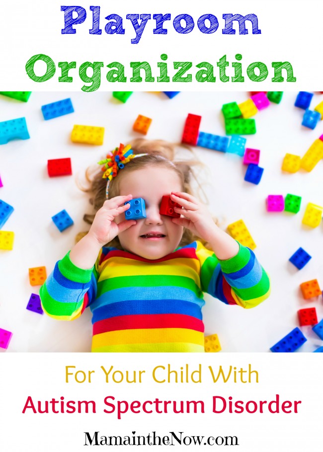 Playroom Organization for Children with Autism Spectrum Disorder